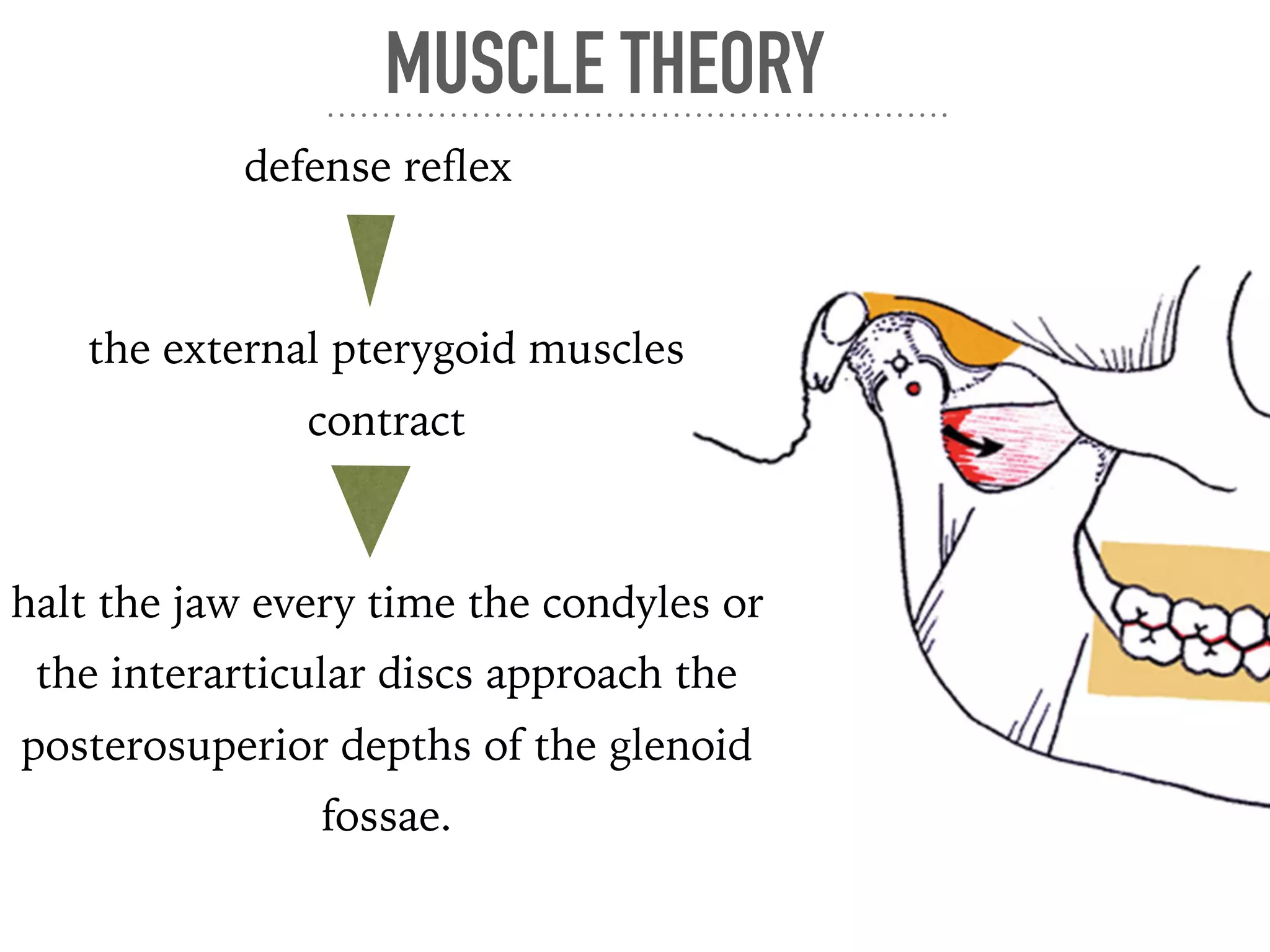 Centric relation seminar | PDF