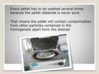 differential centrifugation | PPT