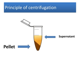 Centrifugation | PPTX