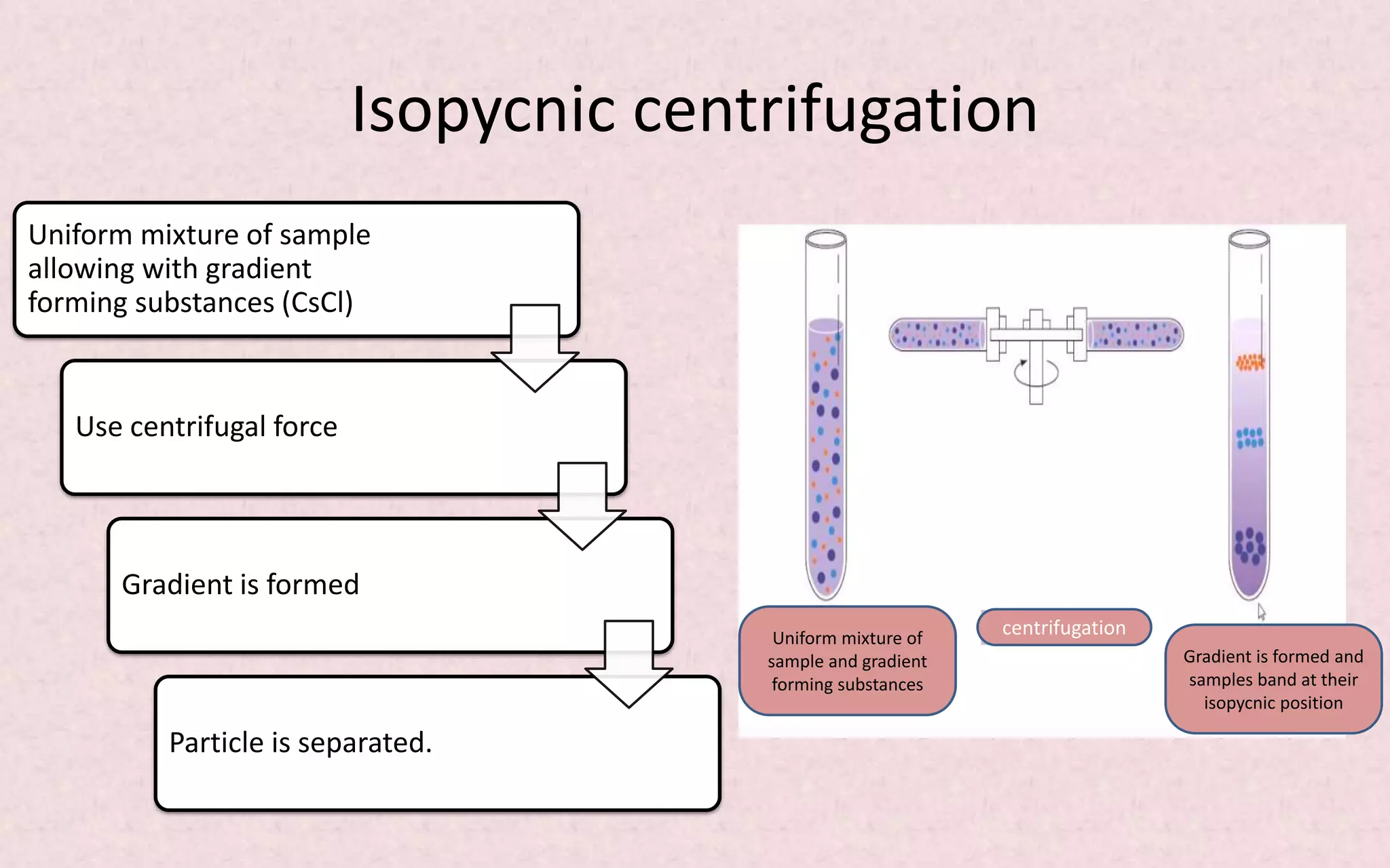 Centrifugation | PPTX