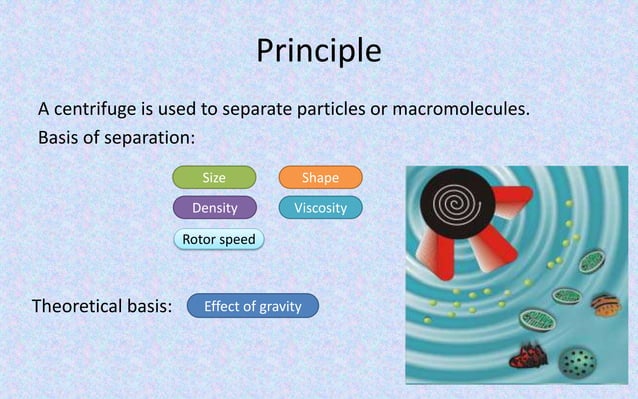 Centrifugation | PPTX | Chemistry | Science
