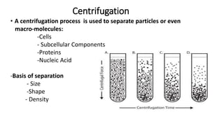 Centrifugation | PPTX