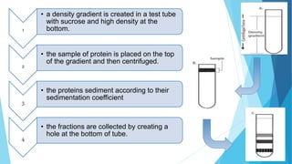 Centrifugation | PPTX