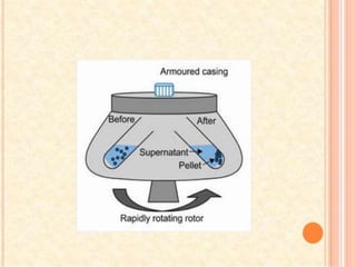 Applied Biochemistry | PPT