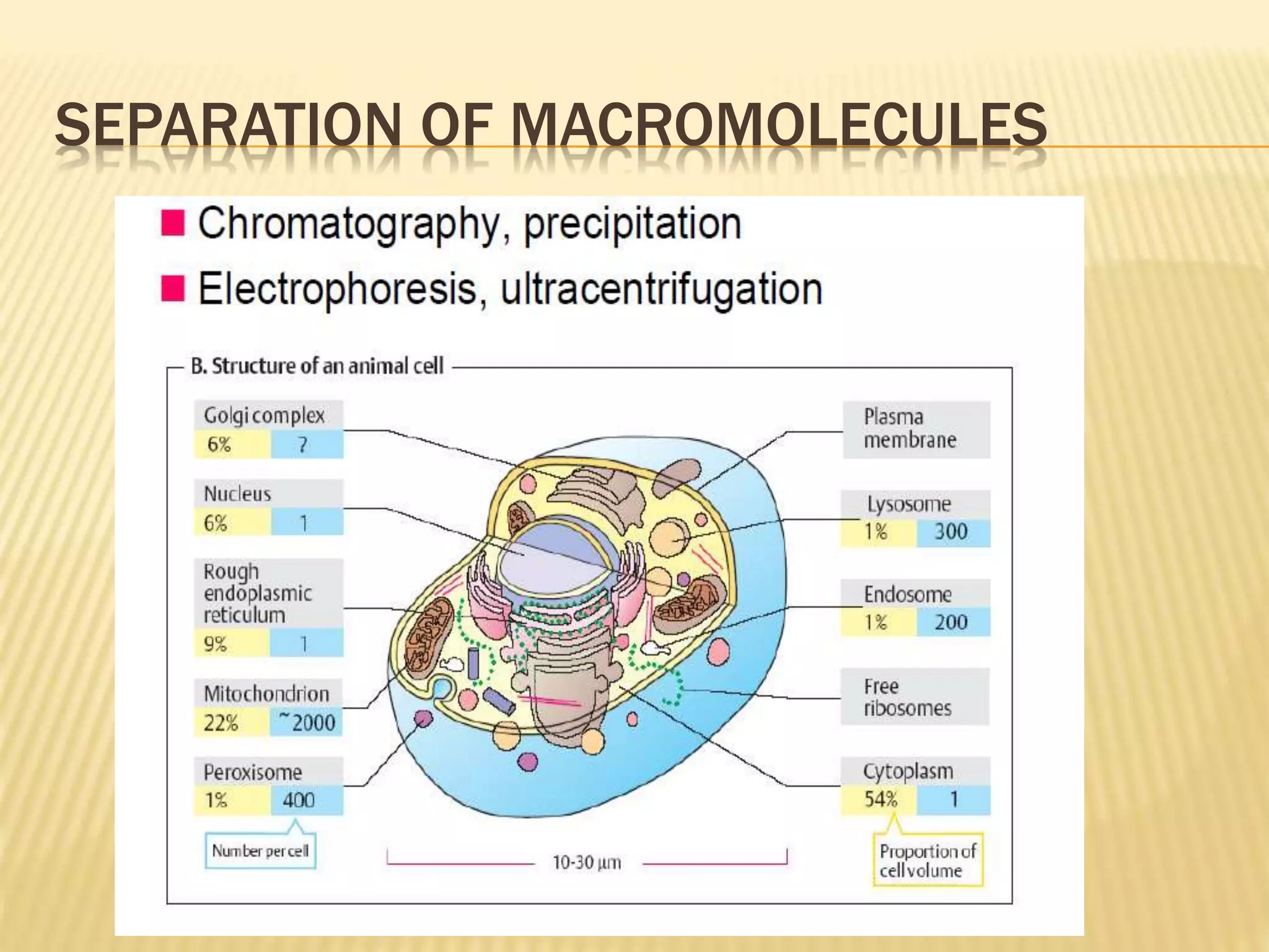 Centrifugation- Techniques in Biochemistry | PPTX