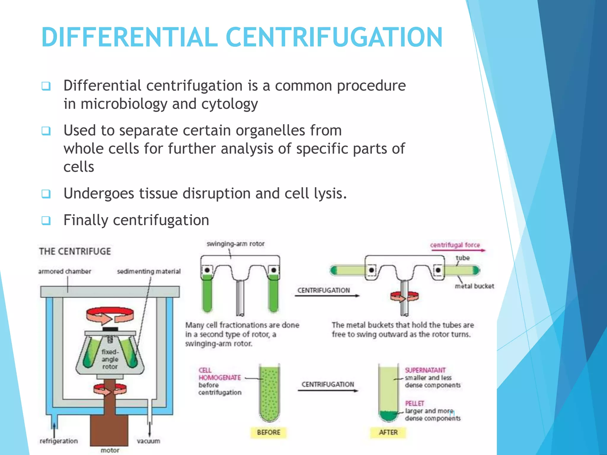 Principle of Centrifugation- Pharmaceutics | PPTX