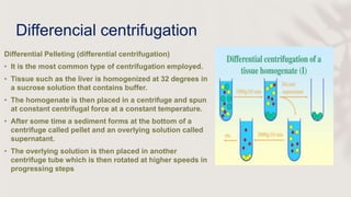 Centrifugation | PPTX