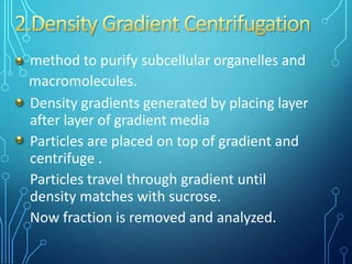centrifugation.pptx | Physics | Science