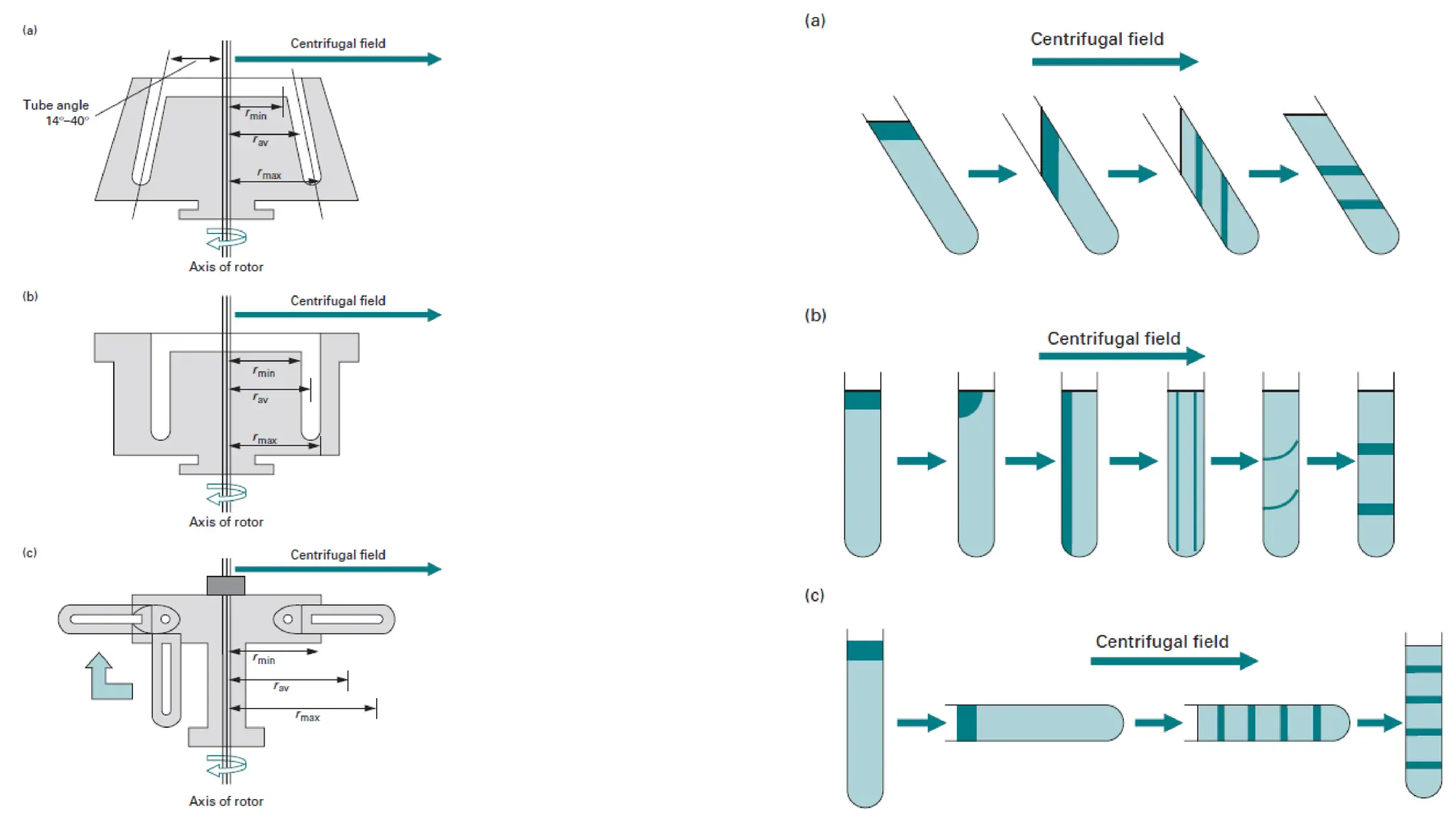 Centrifugation.pptx school chemistry ppt | PPTX