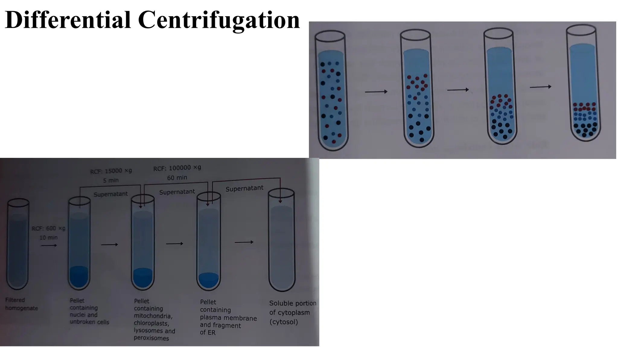 Centrifugation.pptx school chemistry ppt | PPTX