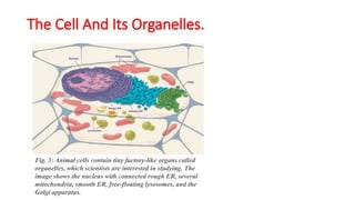 Centrifugation: methods of cell fractionation and the structure and ...