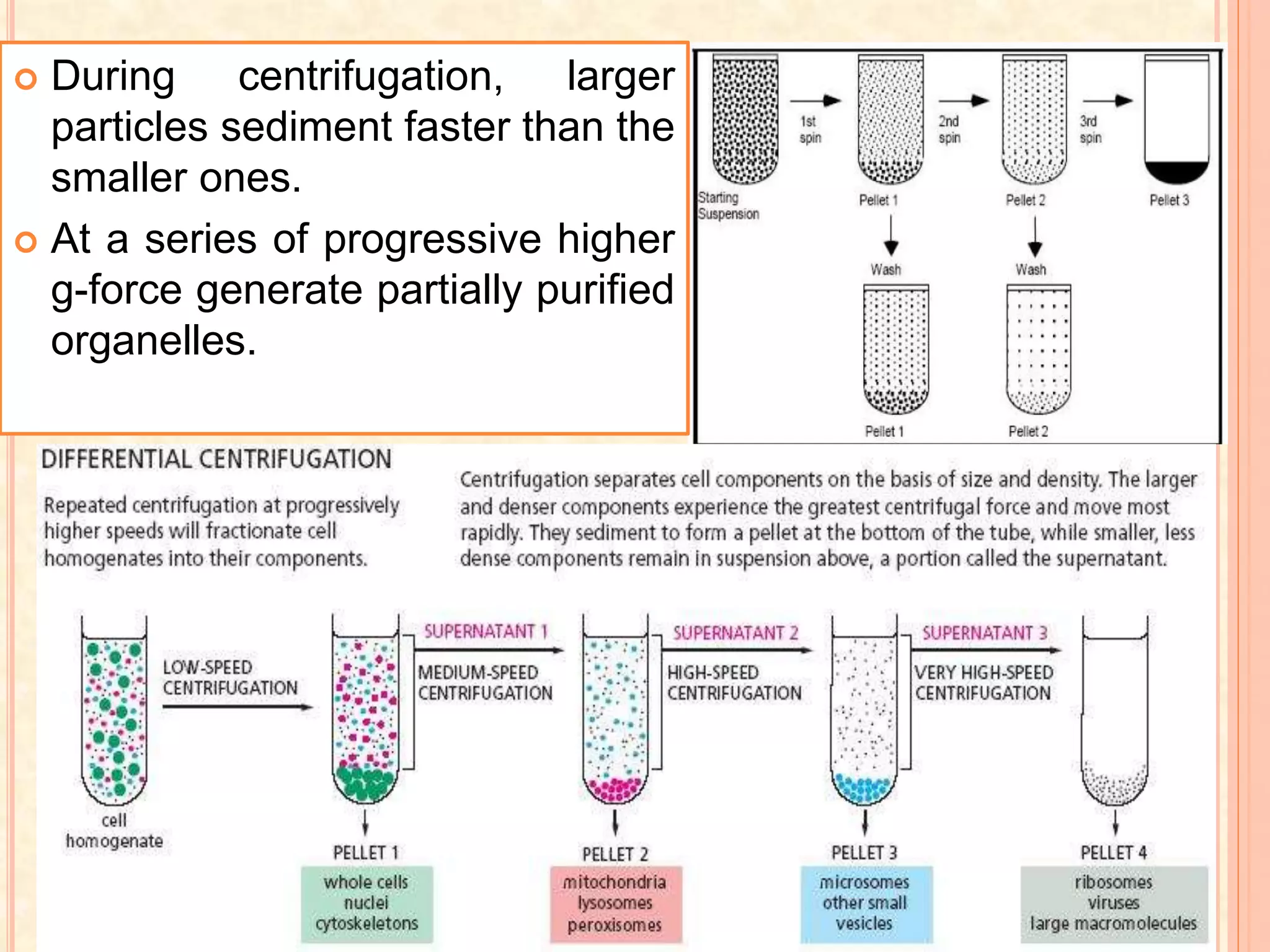 Centrifugation principle and types by Dr. Anurag Yadav | PPTX