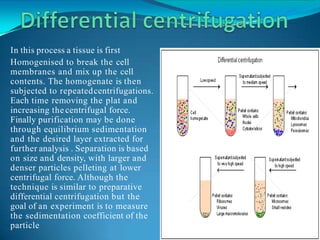 Centrifugation | PPT