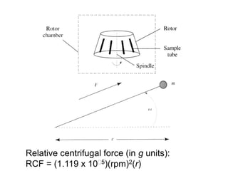 Centrifugation lecture | PPT