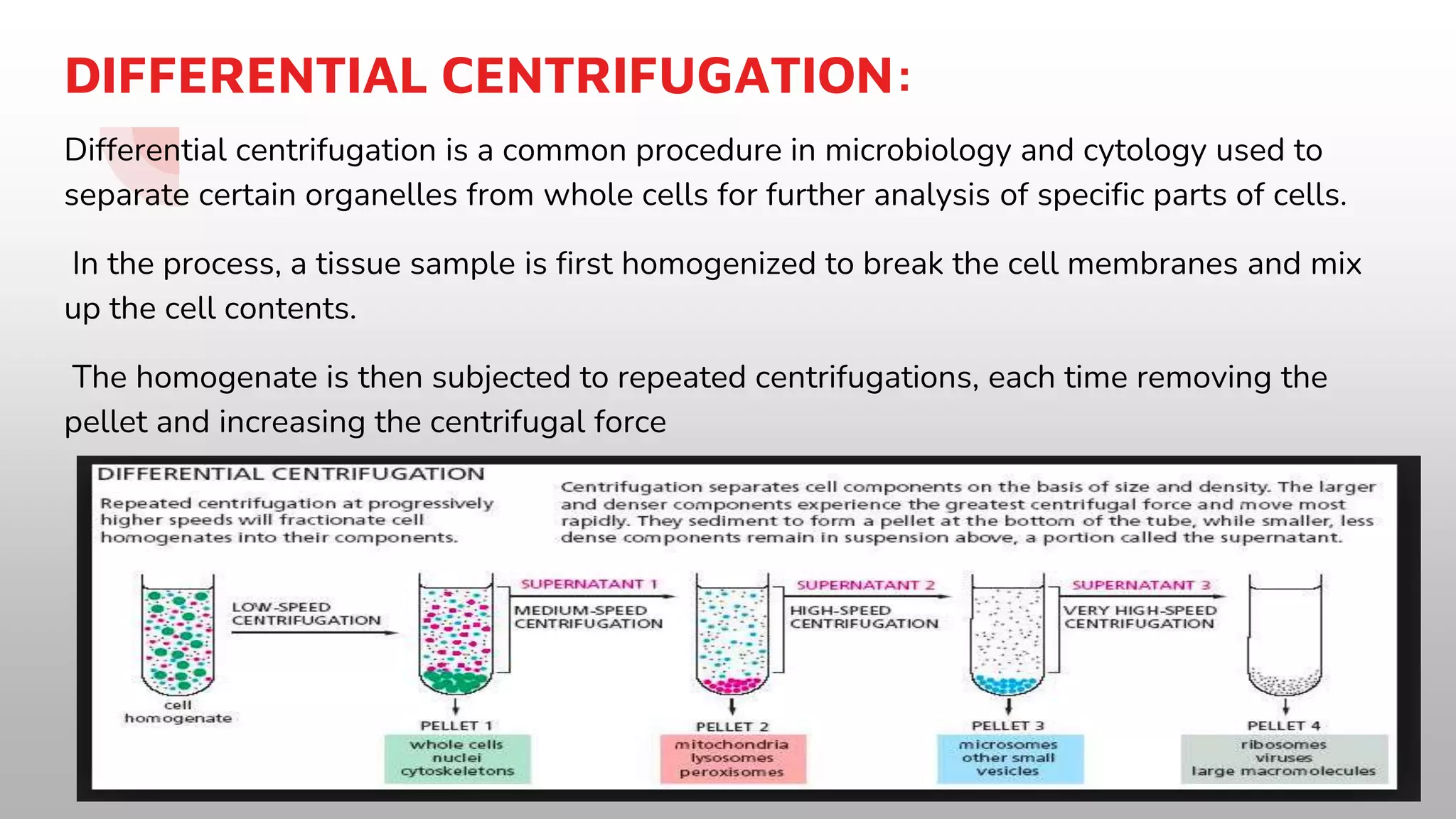 Centrifugation Presentation.pptx