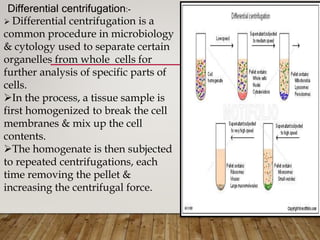 Centrifugation | PPTX
