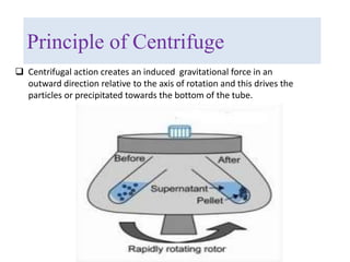 centrifuge and its applications .ppt