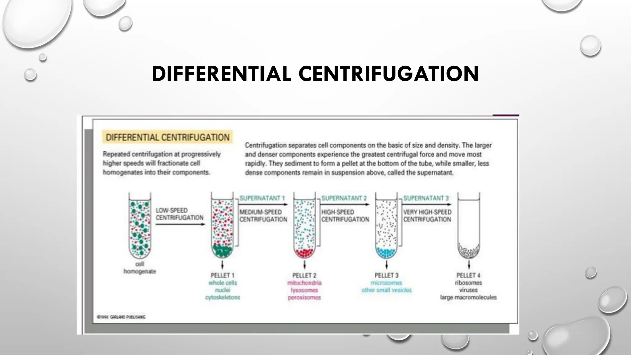 CENTRIFUGE, TYPES ,USES AND ITS APPLICATION.pptx