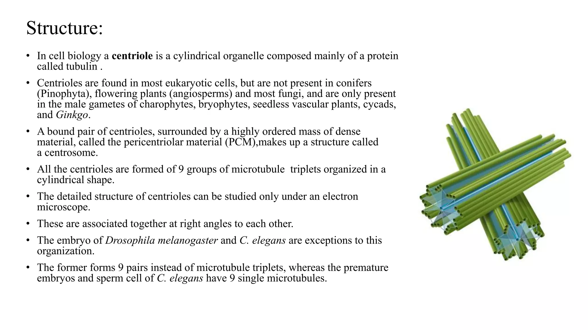 CENTRIOLE.pptx