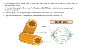 CENTRIOLE.pptx