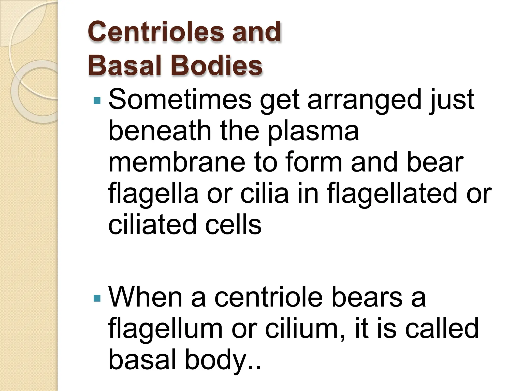 Centriole and basal body 123456789 .pptx