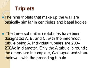 Centriole and basal body 123456789 .pptx