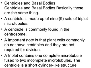 Centrioles | PPT