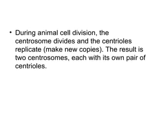 Centrioles | PPT