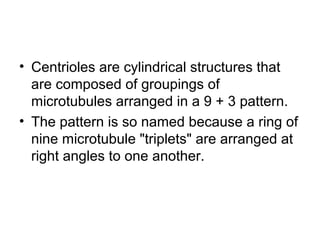 Centrioles | PPT