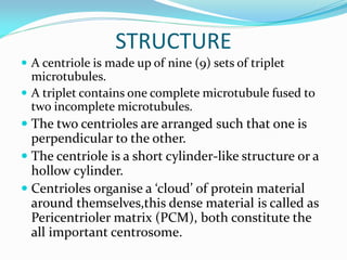 Centrioles | PDF