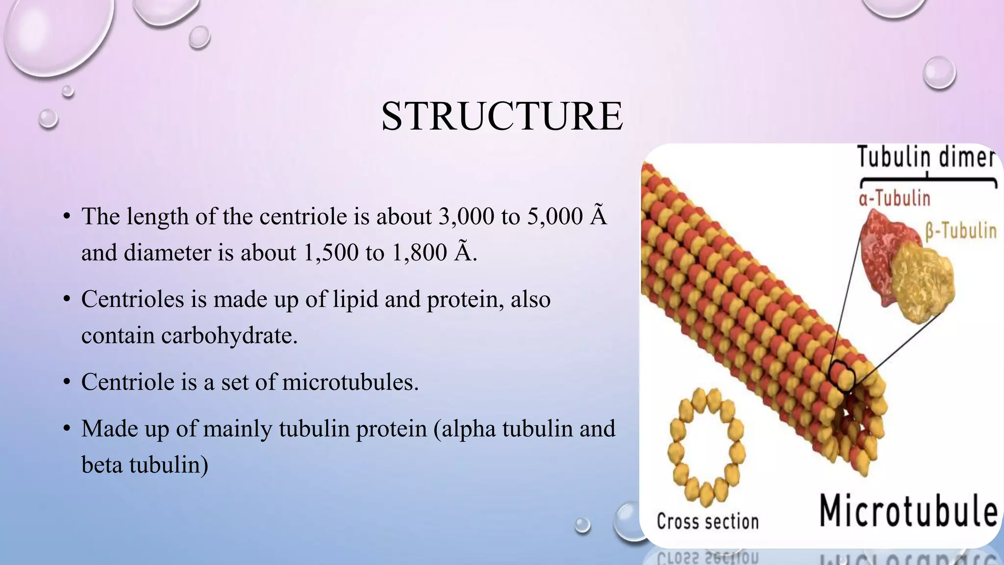 Centrioles (introduction, function, duplication ) | PPTX