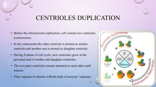 Centrioles (introduction, function, duplication ) | PPTX