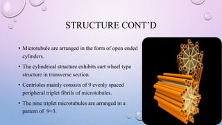 Centrioles (introduction, function, duplication ) | PPTX