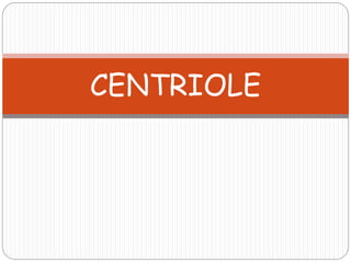Centrioles... cell organelle. | PPTX