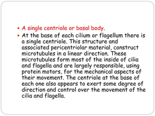 Centrioles... cell organelle. | PPTX