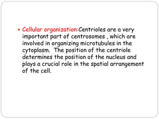 Centrioles... cell organelle. | PPTX