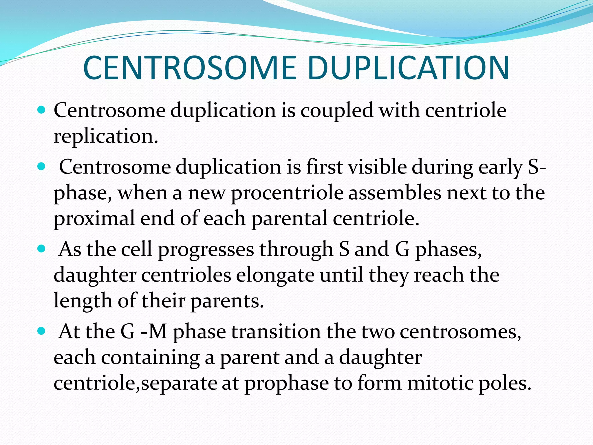 Centrioles[1] | PDF
