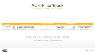 Centrix Solutions Corporate Overview - Dispute Tracking & Corporate ...