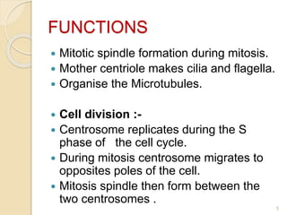 Centrosome Function