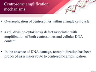 Centrosomes in checkpoint responses | PPT