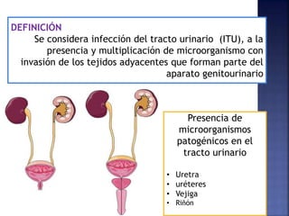 infección del tracto urinario (ITU) | PPTX