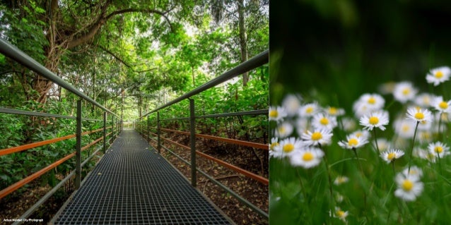 Century Yelahanka Extension Plots Bengaluru - E-Brochure | PDF