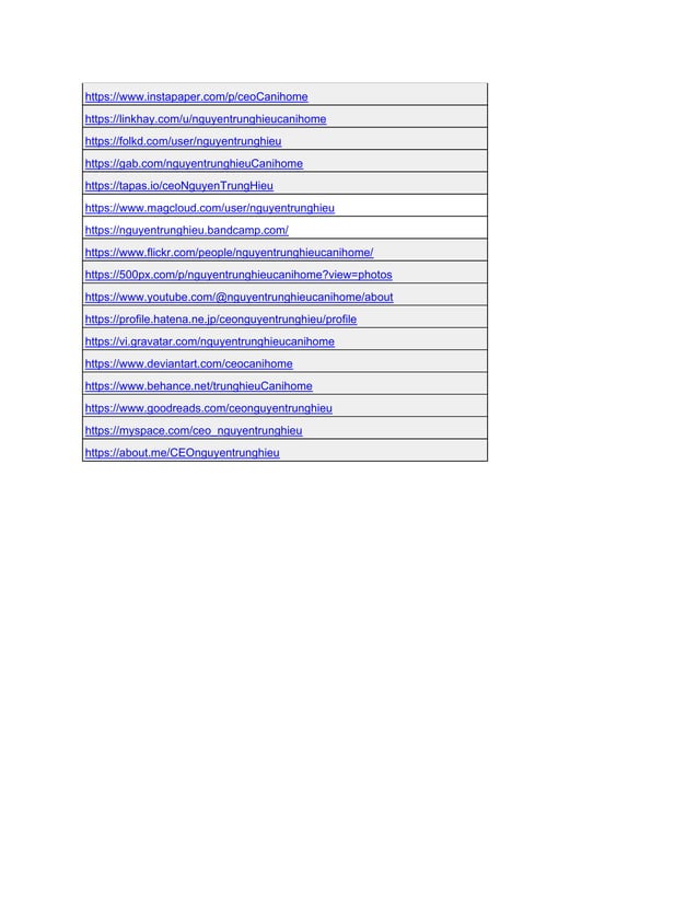 CEO-Nguyen-Trung-Hieu.pdf