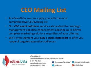 CEO Email List and Mailing List | PPTX