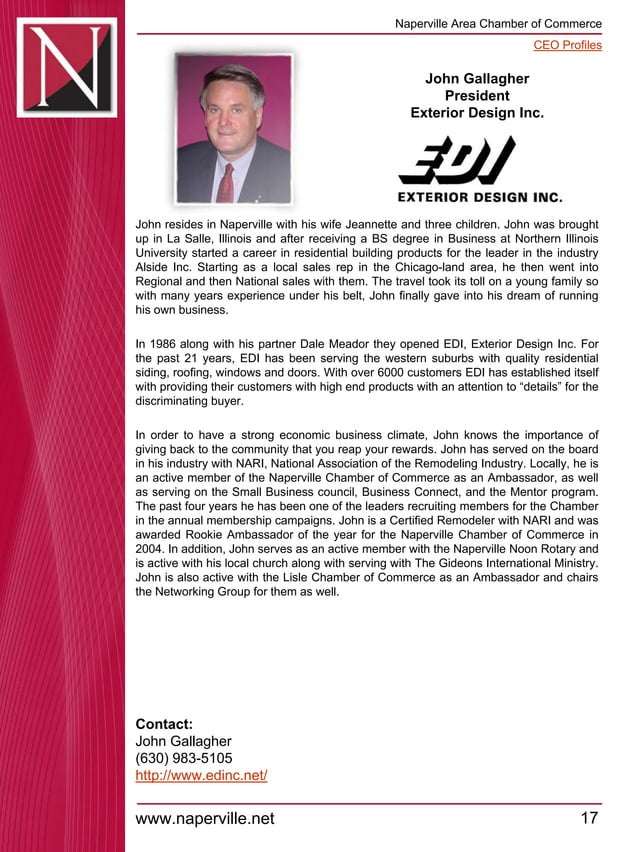 Ceo profiles | PDF