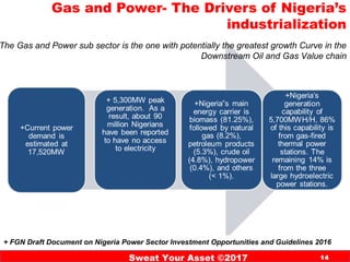 CEO Strategic Brief_ The Nigerian Downstream Oil and Gas Sector 2017 ...