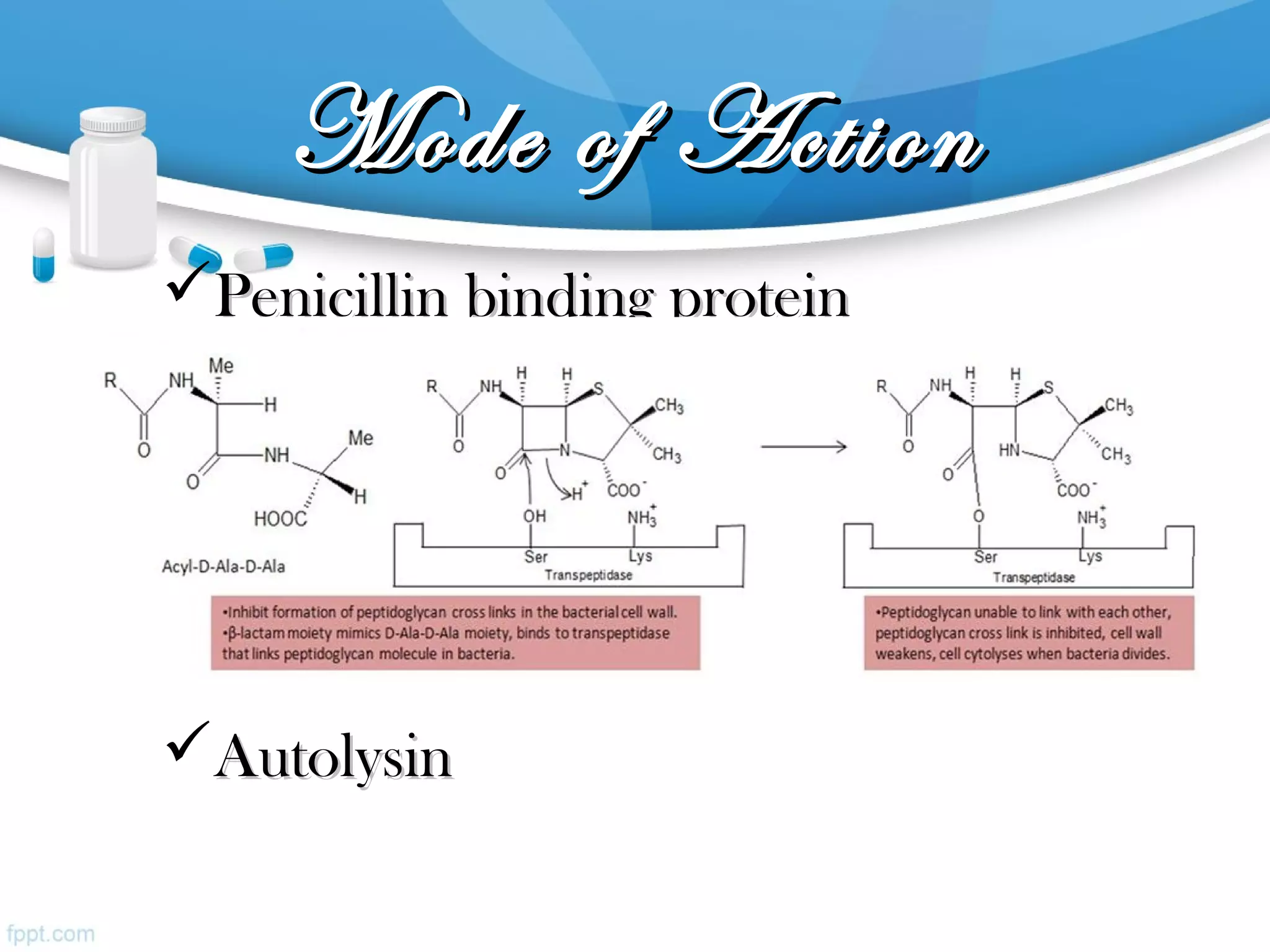 Cephalosporins Ppt