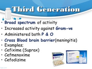 Cephalosporins | PPT