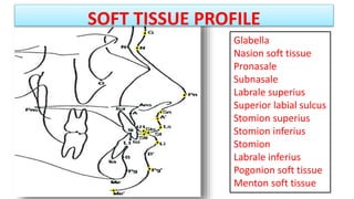 Cephalometrics | PPTX | Dental Health | Diseases and Conditions