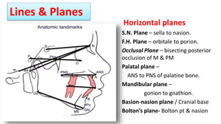 Cephalometrics | PPTX | Dental Health | Diseases and Conditions